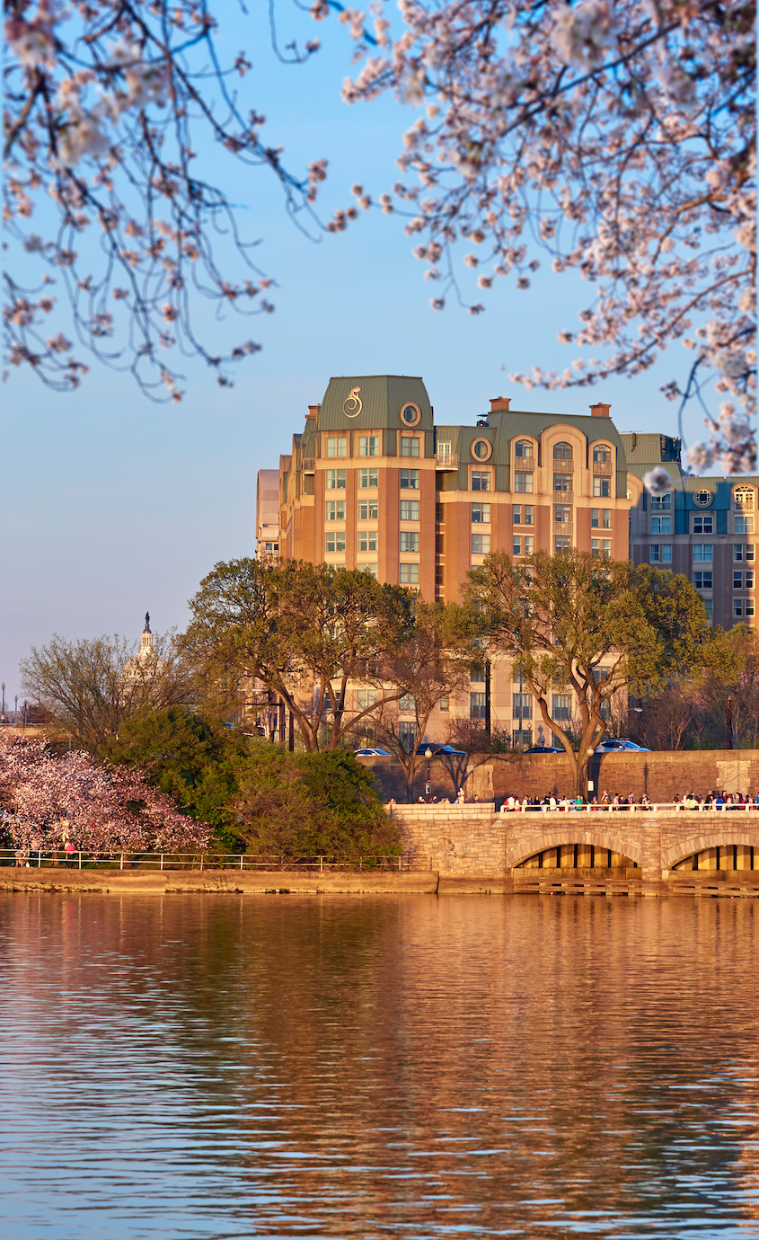 Brand-New Restaurants & Hotels in Washington, DC | Washington DC